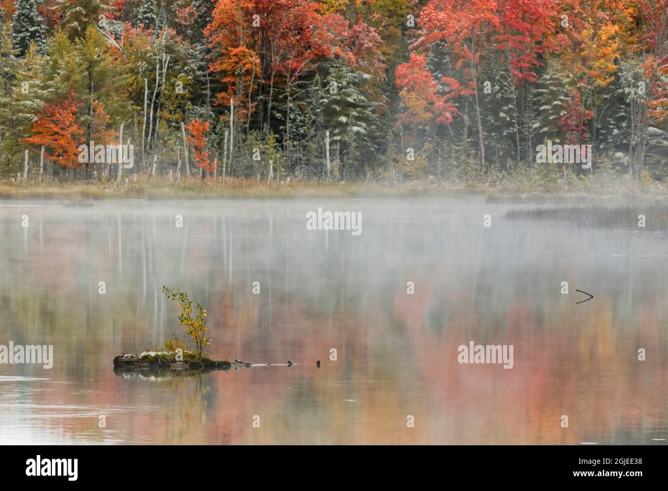 Light dusting of snow and fall colors along shoreline of Council Lake ...