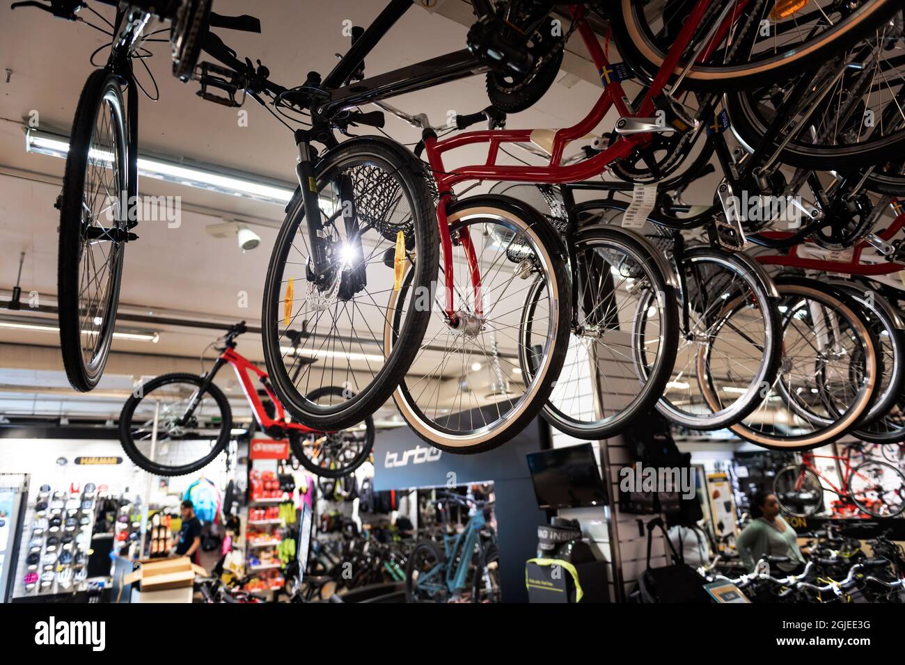 Bicycles for sale in a bike shop. Photo: Stina Stjernkvist / TT code 11610 Stock Photo - Alamy