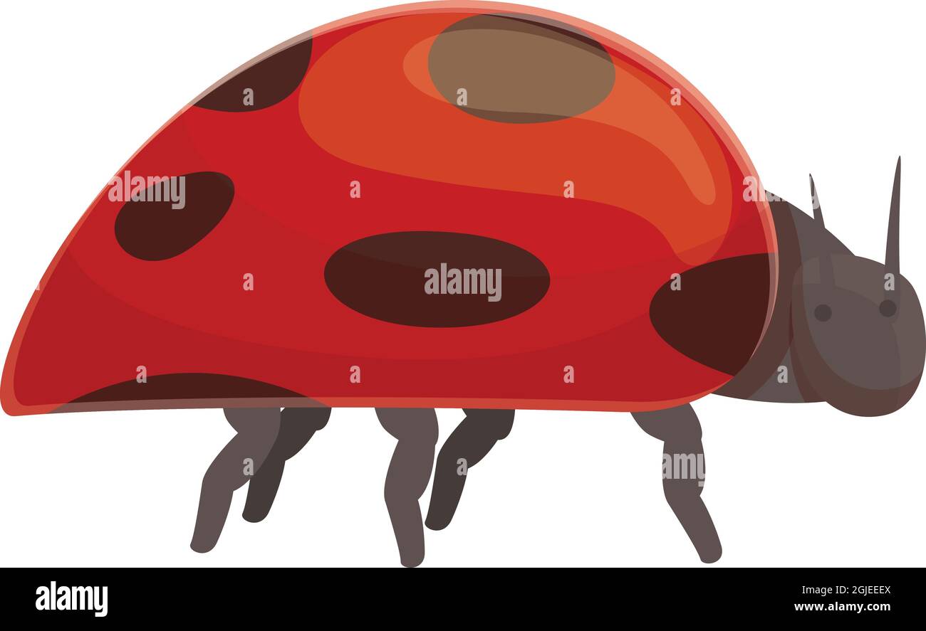 Lady beetle icon cartoon vector. Ladybug spring. Bug insect Stock ...