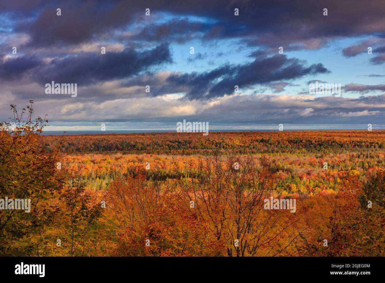 Looking down at peak fall colors in the Beaver Basin Wilderness at ...