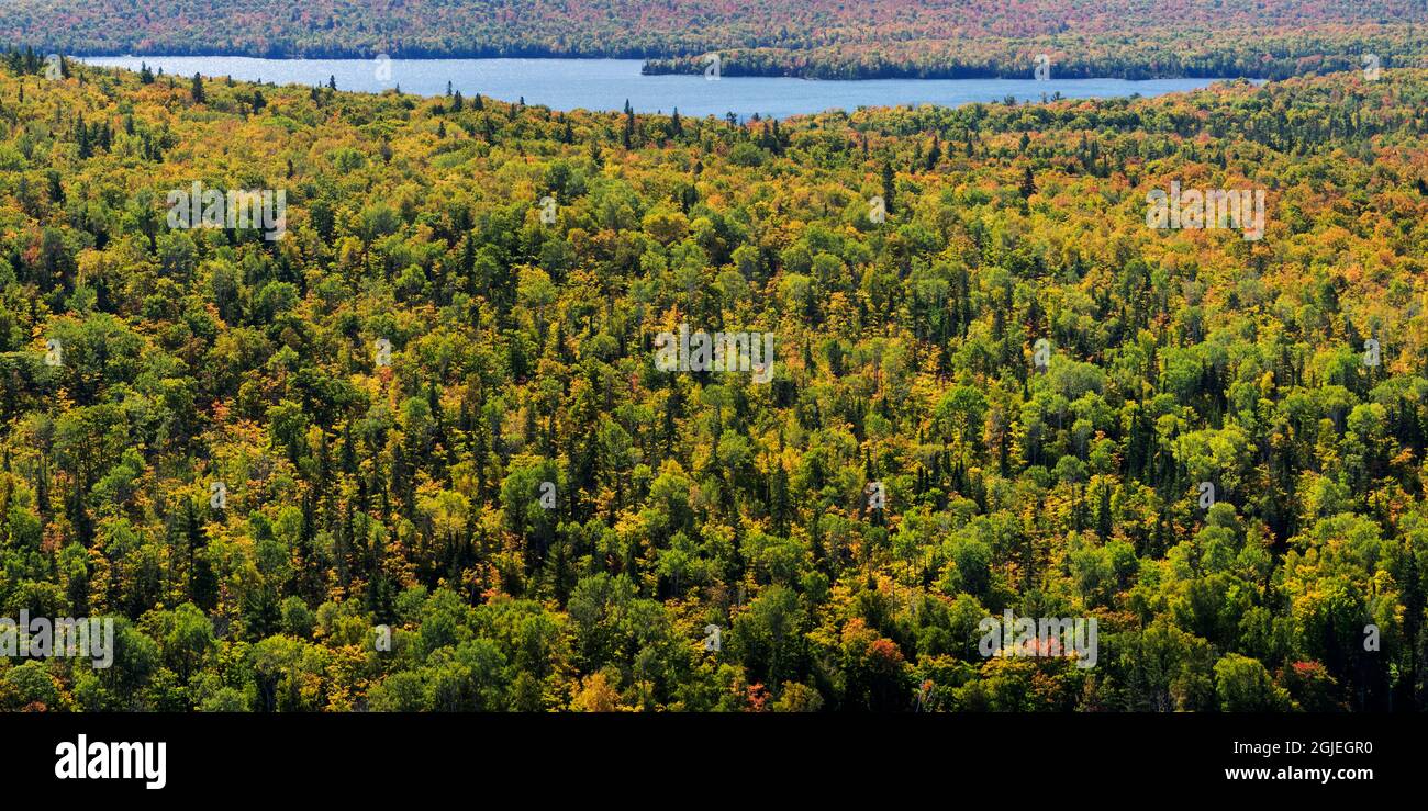 US, Michigan, Upper Peninsula. Forest canopy and Lake of the Clouds in ...
