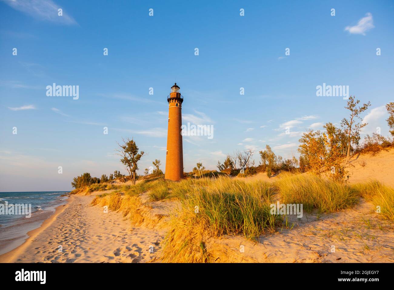 Little point sable hi-res stock photography and images - Alamy