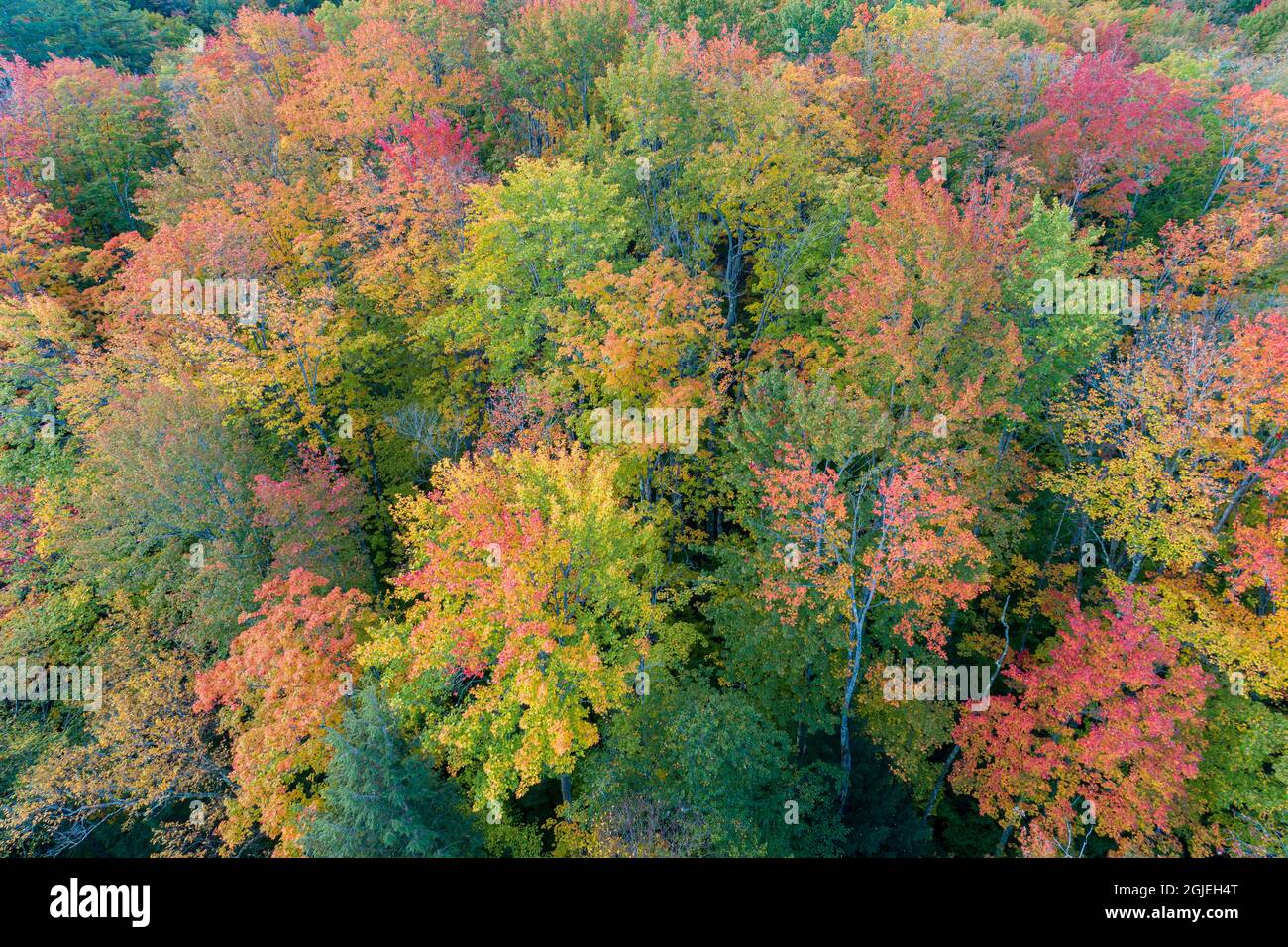 Hugoboom hi-res stock photography and images - Alamy