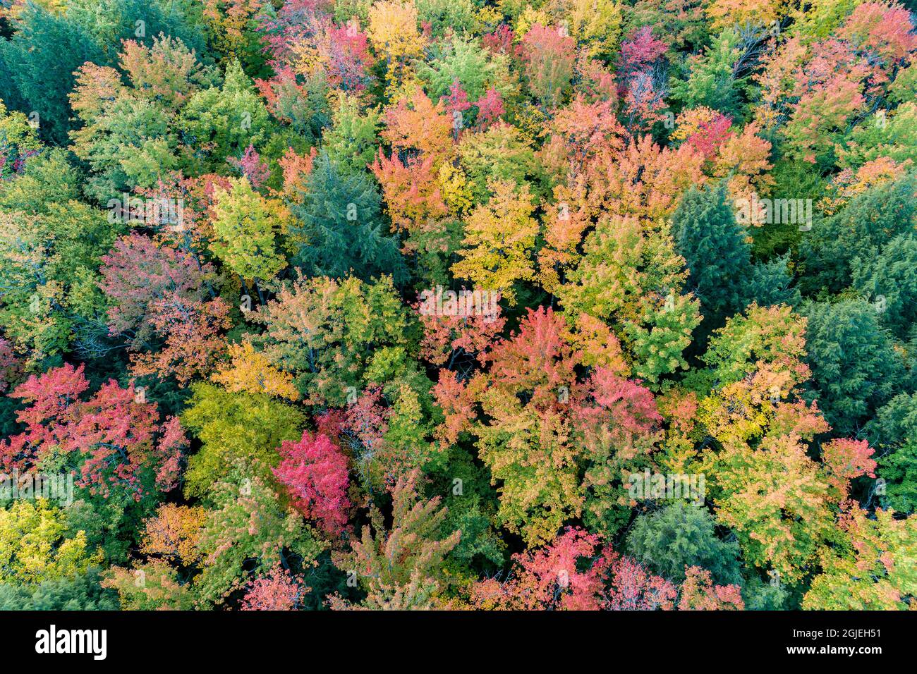 Hugoboom hi-res stock photography and images - Alamy