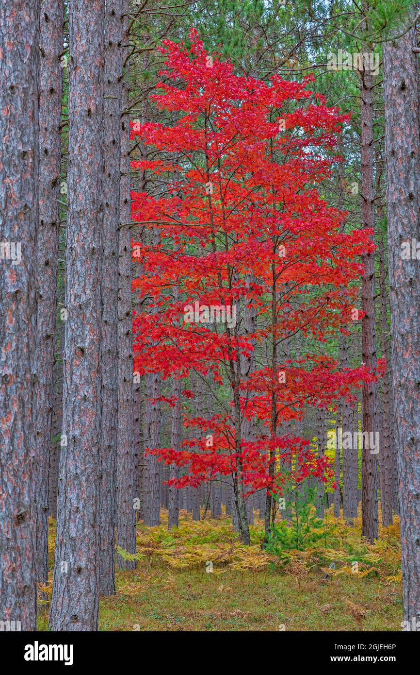 Manistique michigan hi-res stock photography and images - Alamy