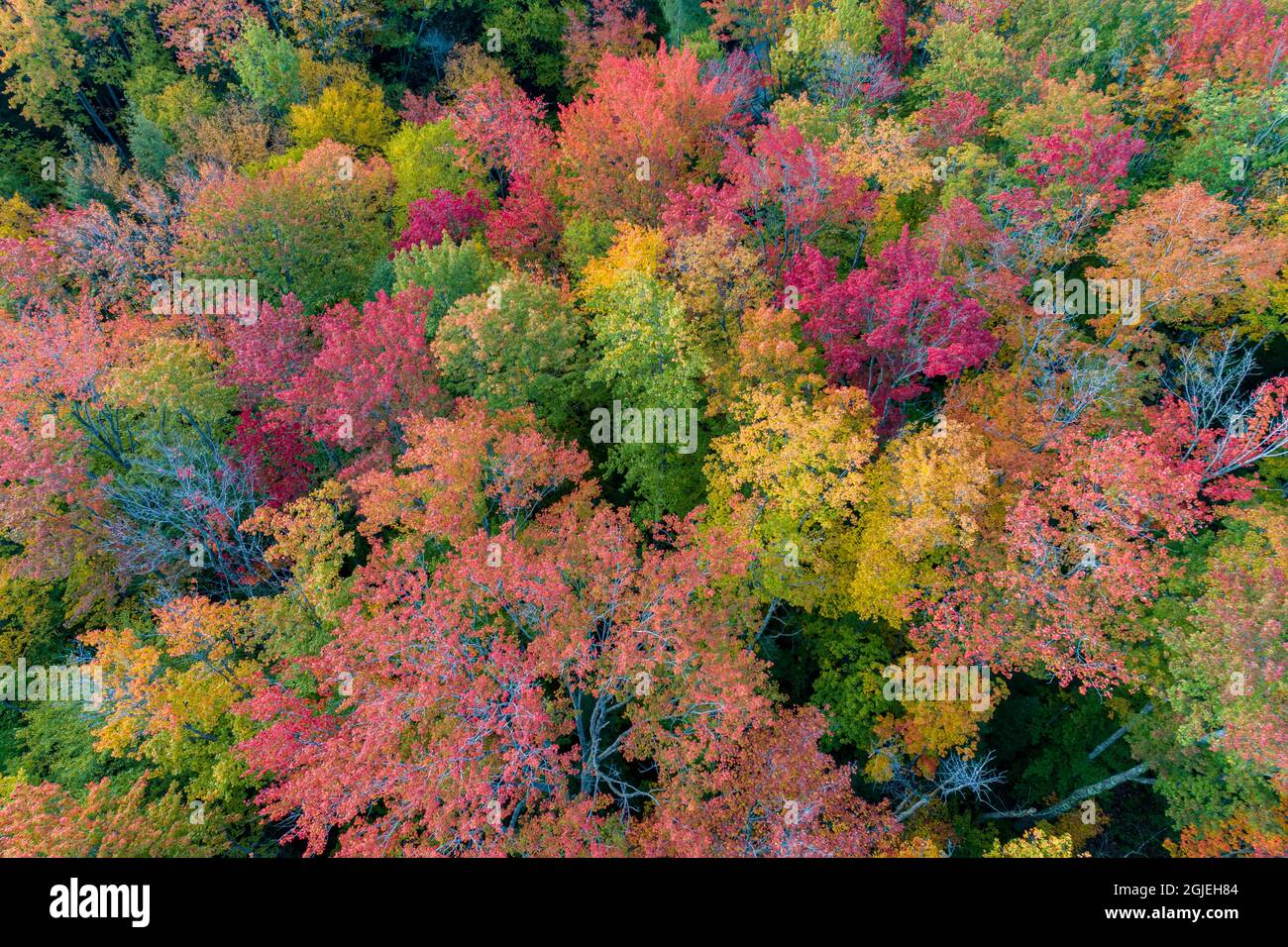 Aerial view of Hugoboom Lake in fall color, Alger County, Michigan ...