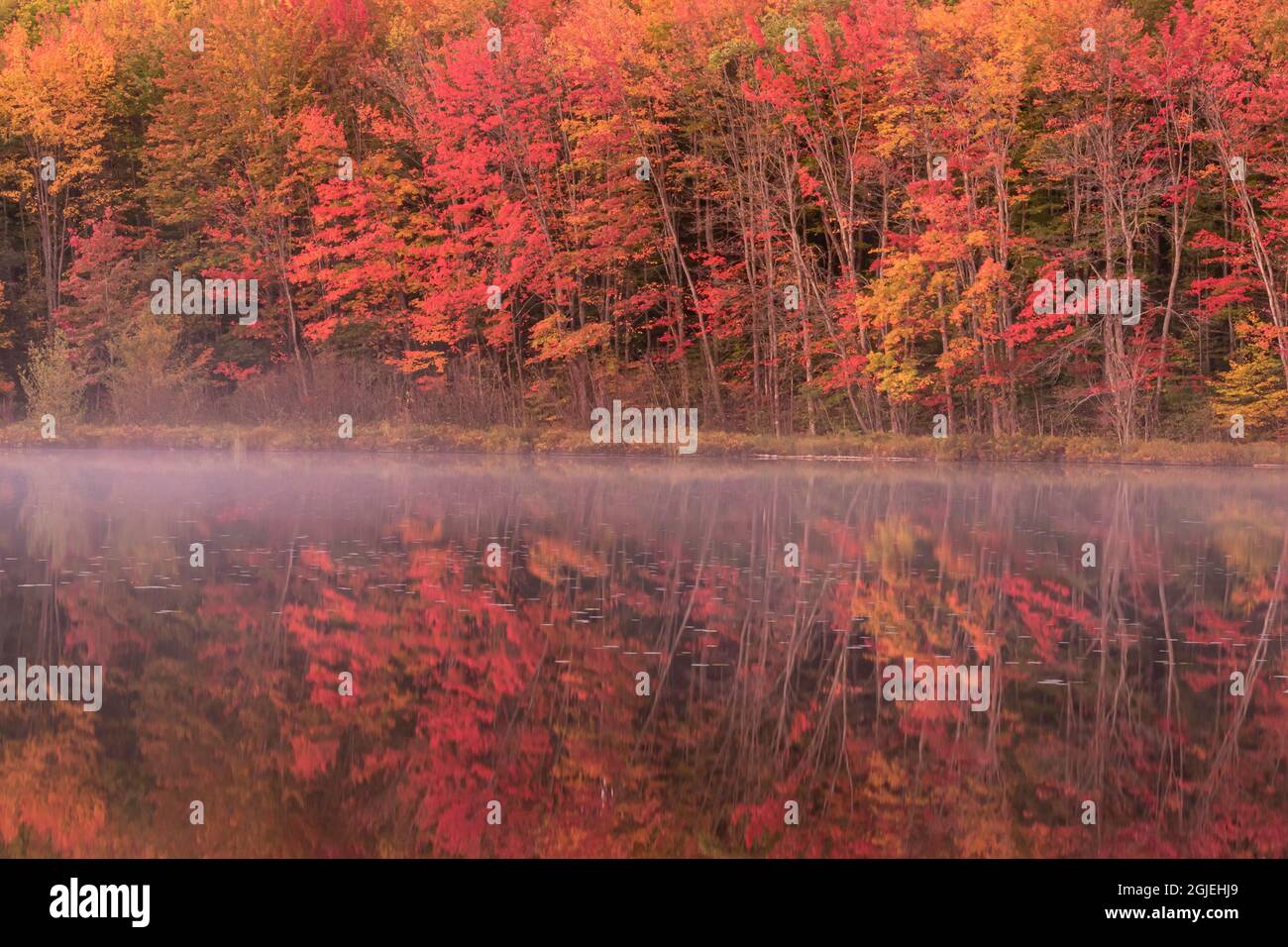 Upper peninsula fall colors in hi-res stock photography and images - Alamy