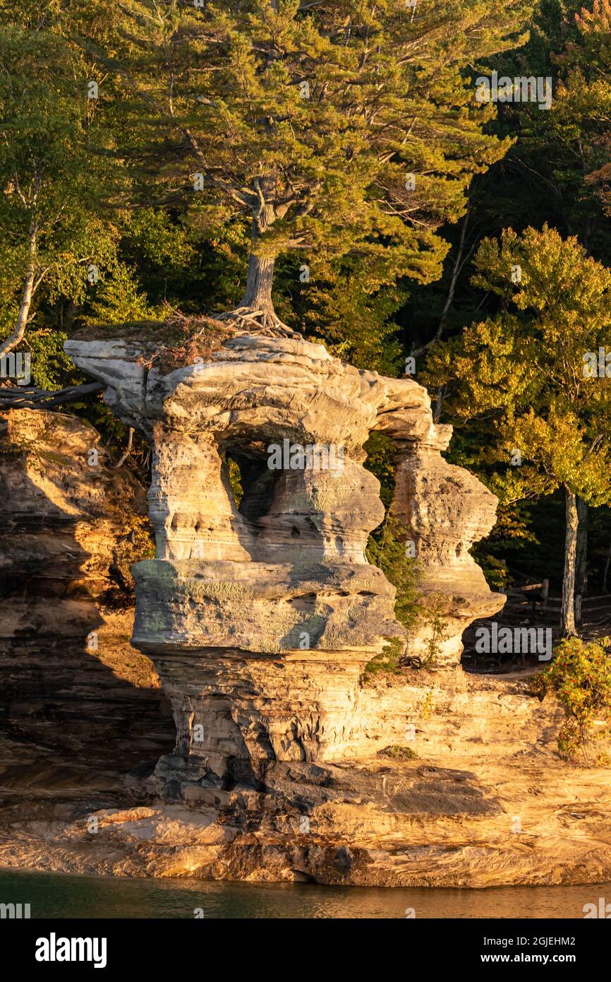 Michigan, Upper Peninsula, Lake Superior. A pine tree grows from the ...