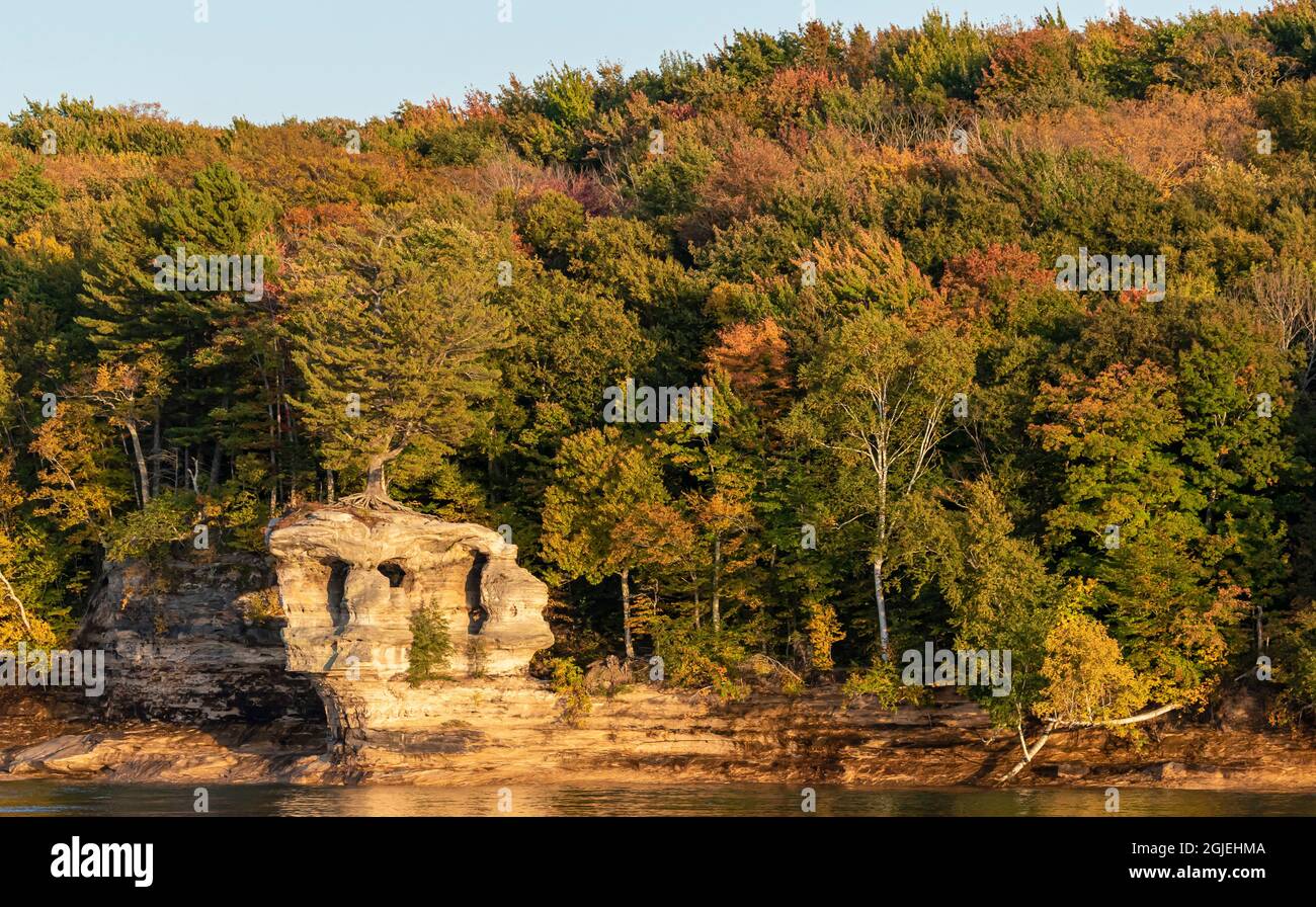Michigan, Upper Peninsula, Lake Superior. A pine tree grows from the ...