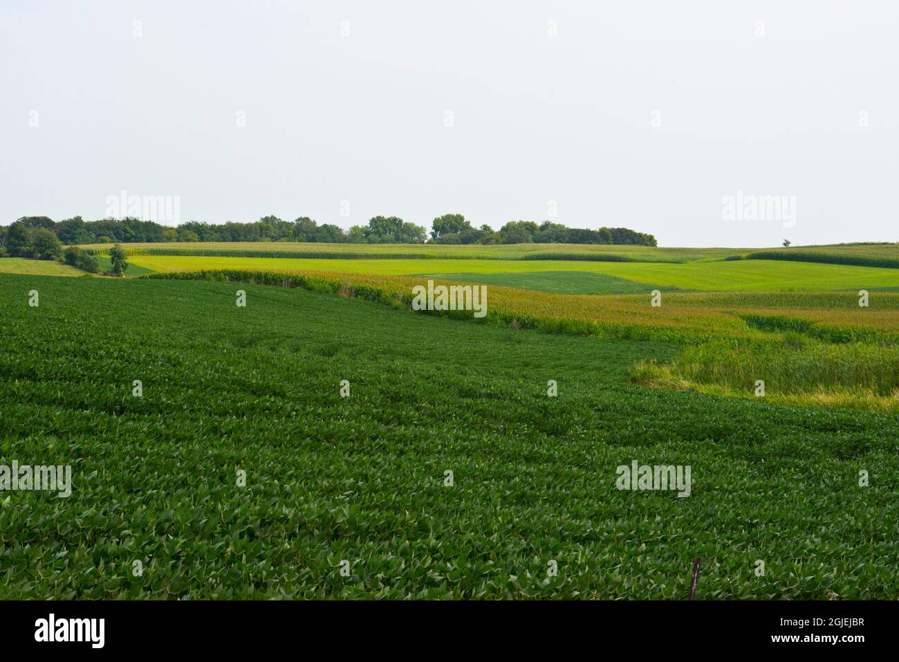 Multiple crops hi-res stock photography and images - Alamy