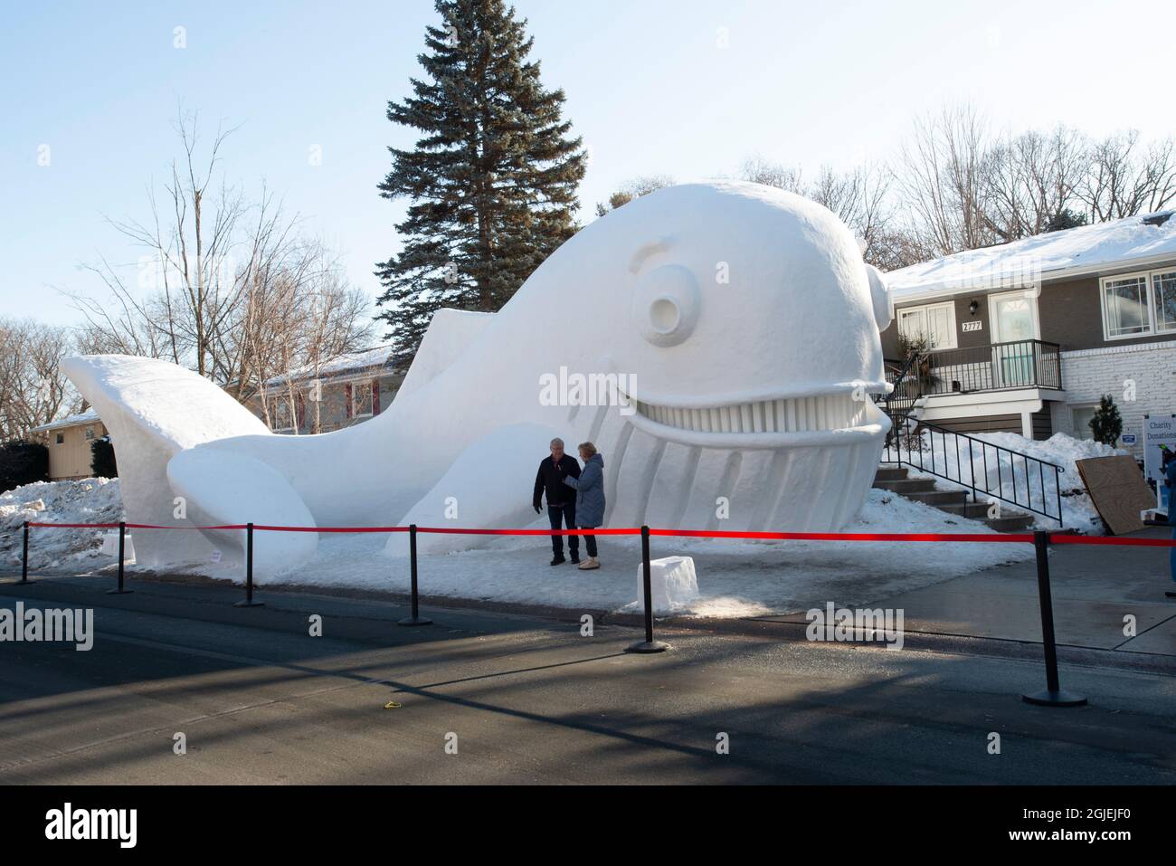 USA, Minnesota, Snow Sculpted Giant Whale by Bartz Brothers (Editorial ...