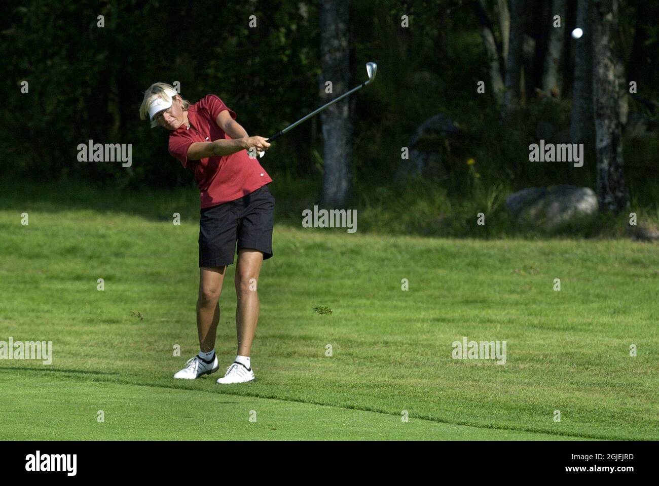 Liselotte Neumann in action Stock Photo - Alamy