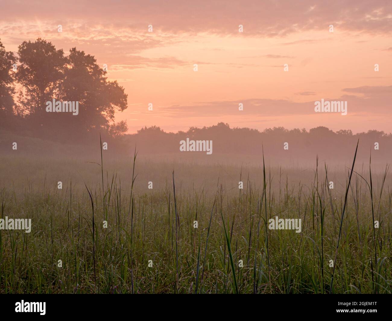Sunrise over prairie with ground fog, Murphy-Hanrahan Regional Park ...