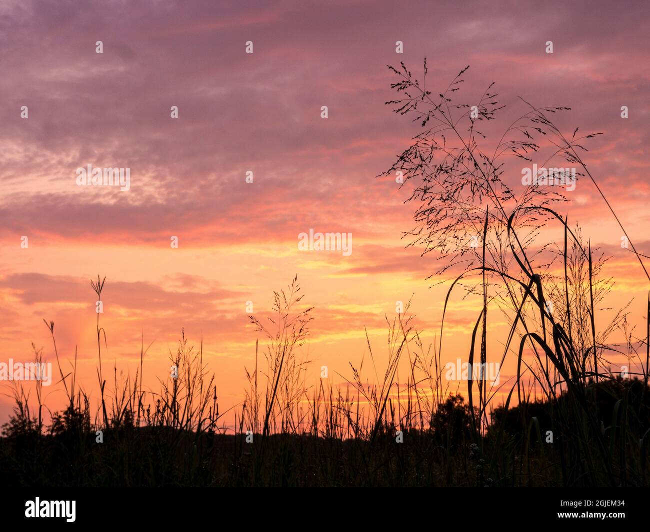 Sunrise over prairie, Murphy-Hanrahan Regional Park, Central Minnesota ...