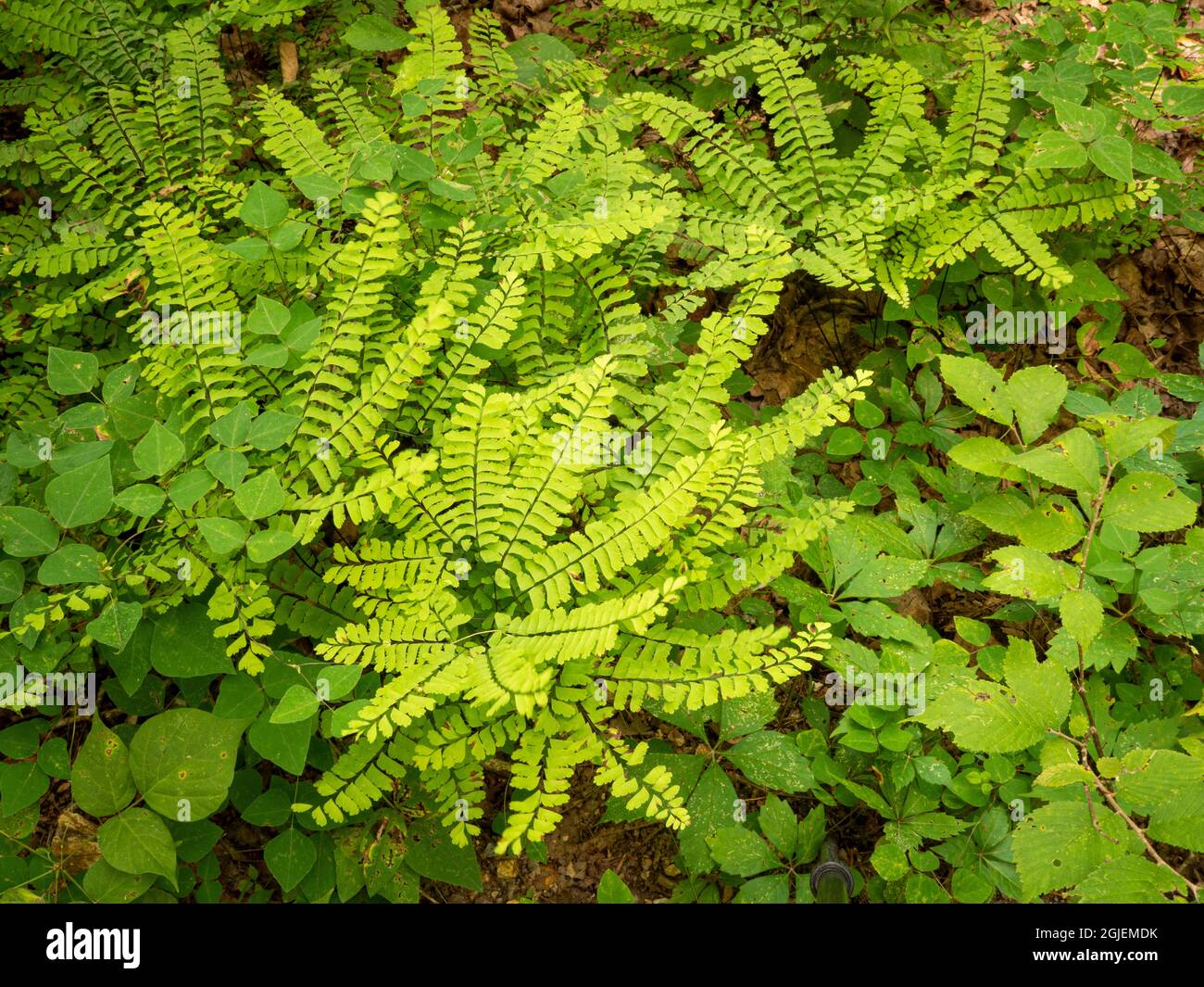 Rob sheppard hi-res stock photography and images - Alamy