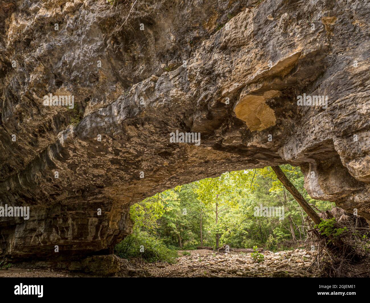 Rock arch, Clifty Creek Natural Area, Dixon, Missouri Stock Photo - Alamy