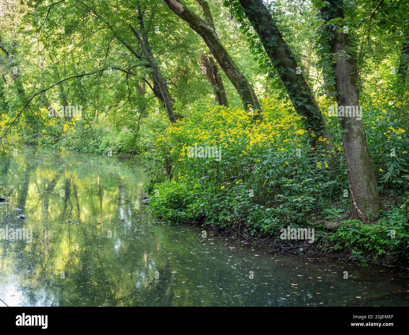 Big sugar creek hi-res stock photography and images - Alamy