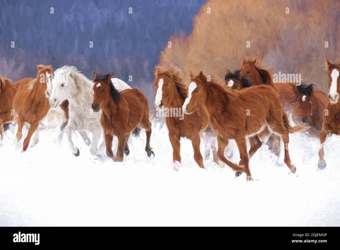 Running horses painting hi-res stock photography and images - Alamy