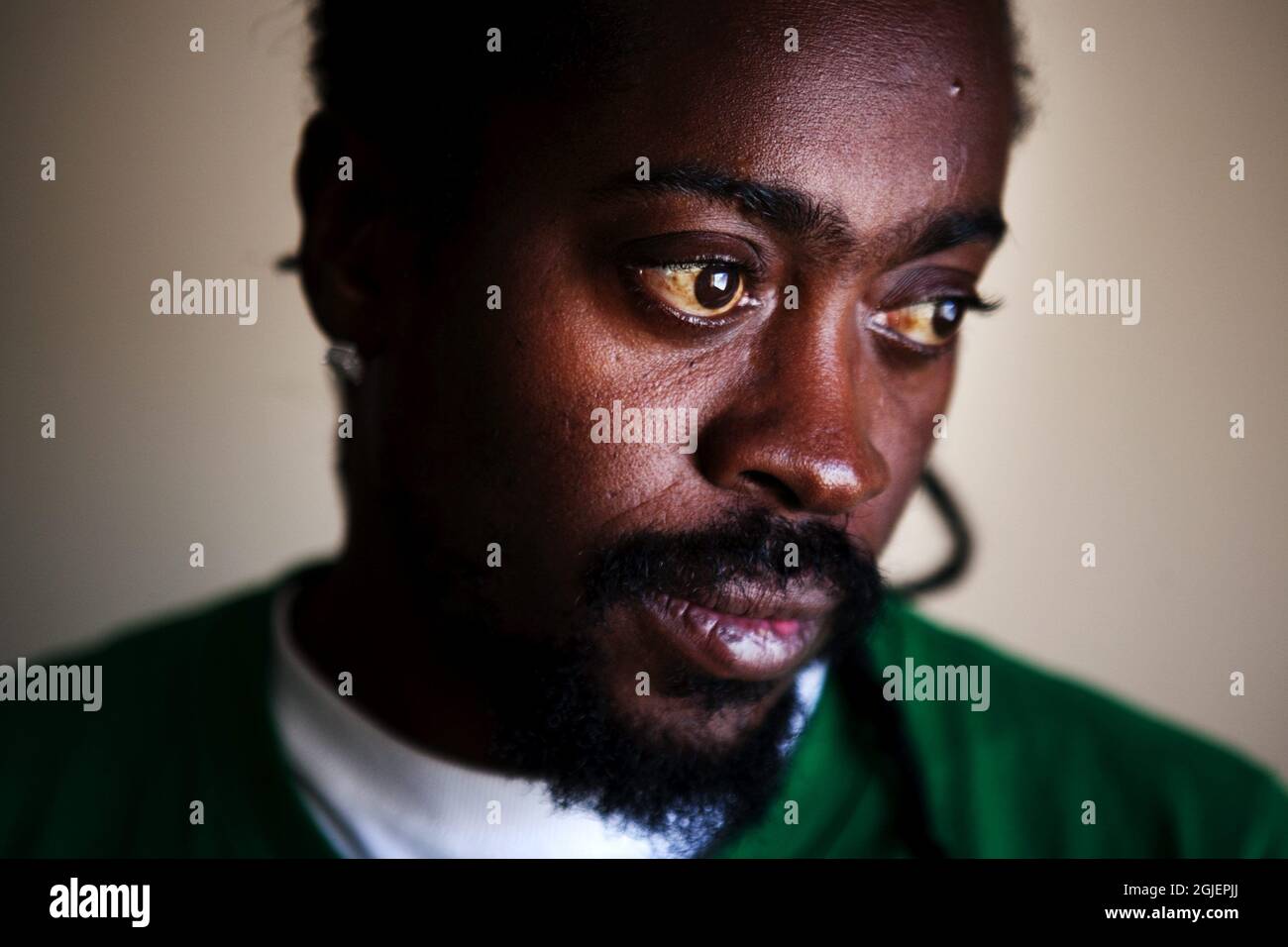 Jamaica Reggae Artist