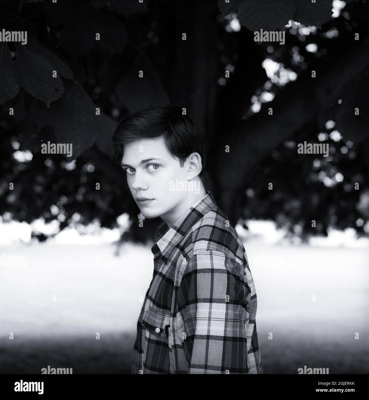 Bill skarsgard swedish actor hi-res stock photography and images - Alamy