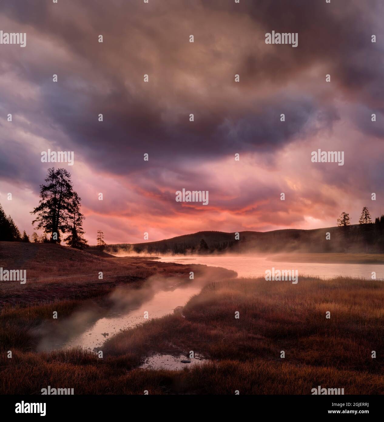 Beautiful meadow yellowstone river hi-res stock photography and images ...