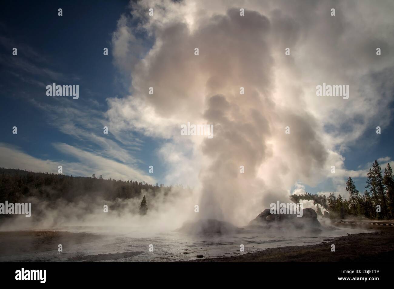 Rocket geyser and Grotto geyser erupting with sun behind the steam ...