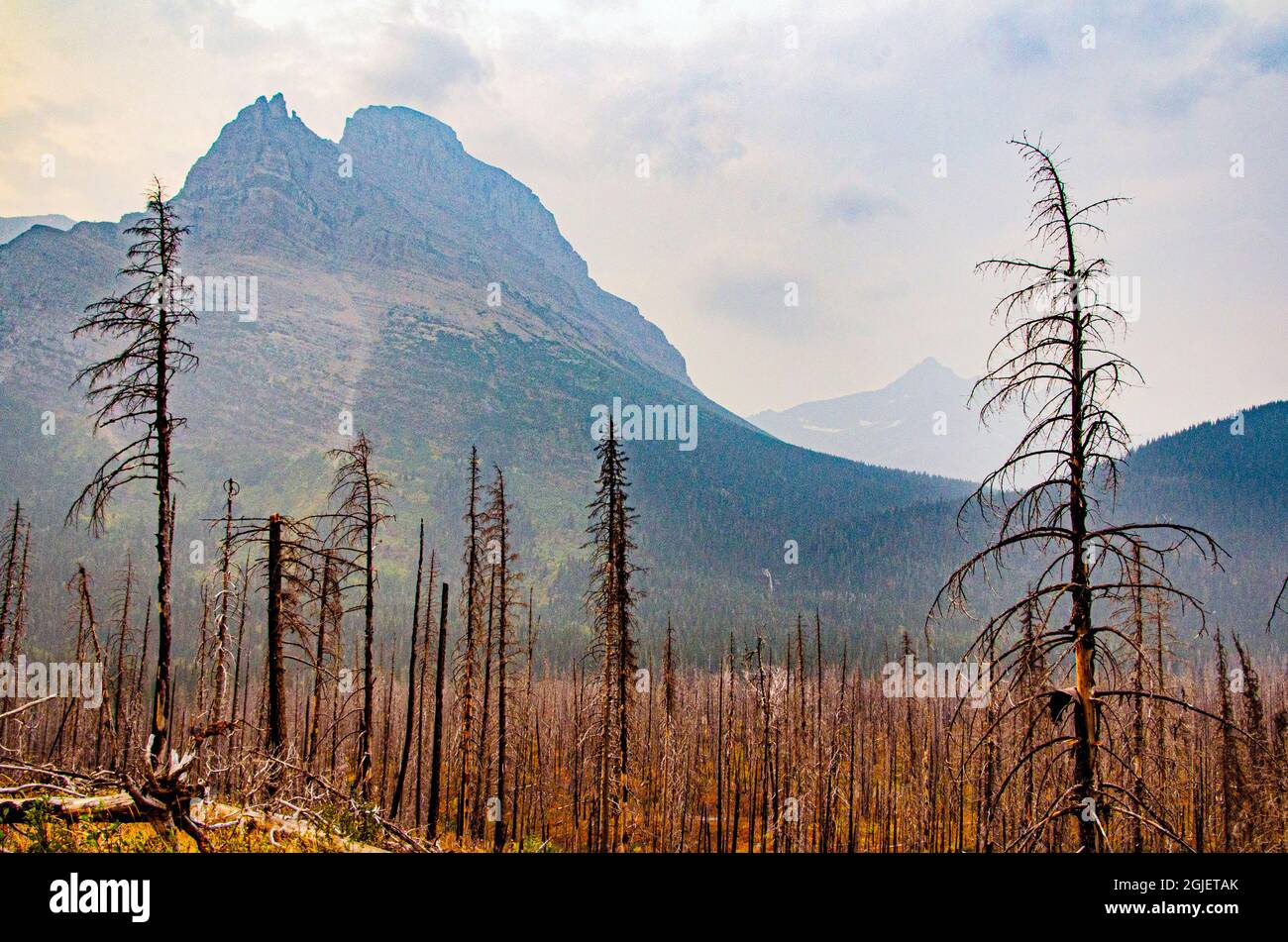 USA, Montana, Glacier National Park, Going-to-the-Sun Highway, Howe ...