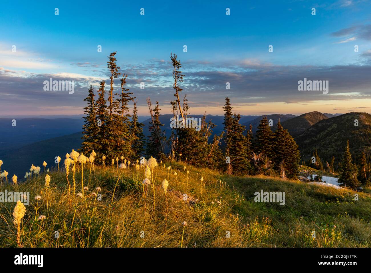 Stillwater state forest hi-res stock photography and images - Alamy