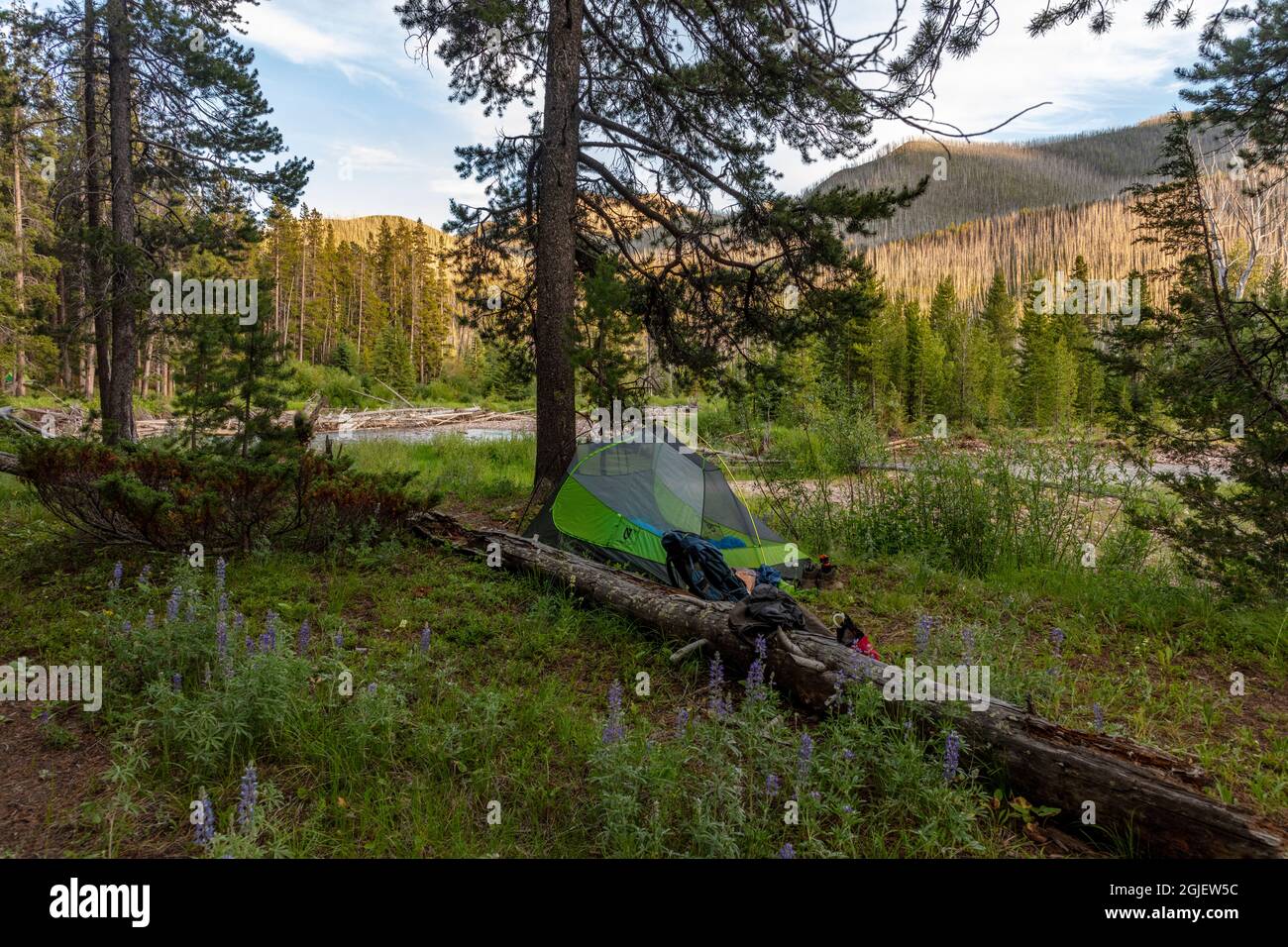 Campsite in the Bob Marshall Wilderness, Montana, USA Stock Photo - Alamy
