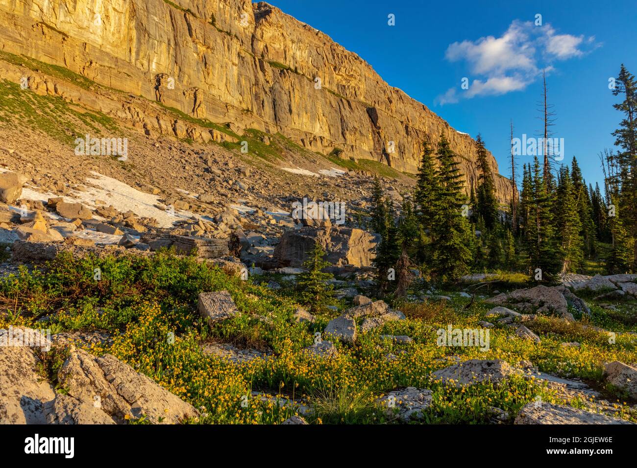 Bob marshall wilderness chinese wall hi-res stock photography and images - Alamy