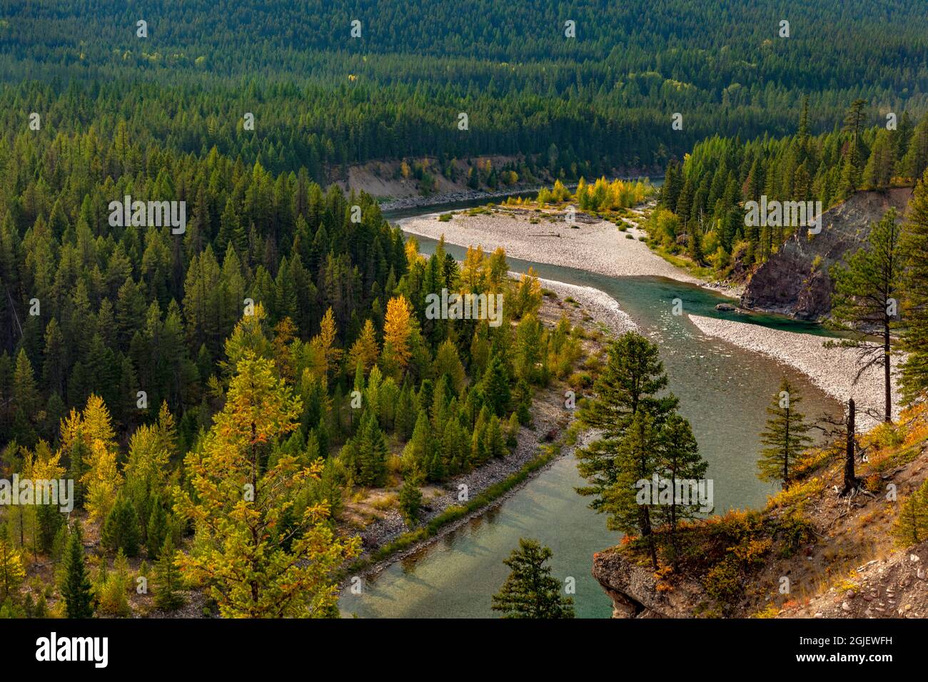 The South Fork Flathead River in the Flathead National Forest, Montana ...