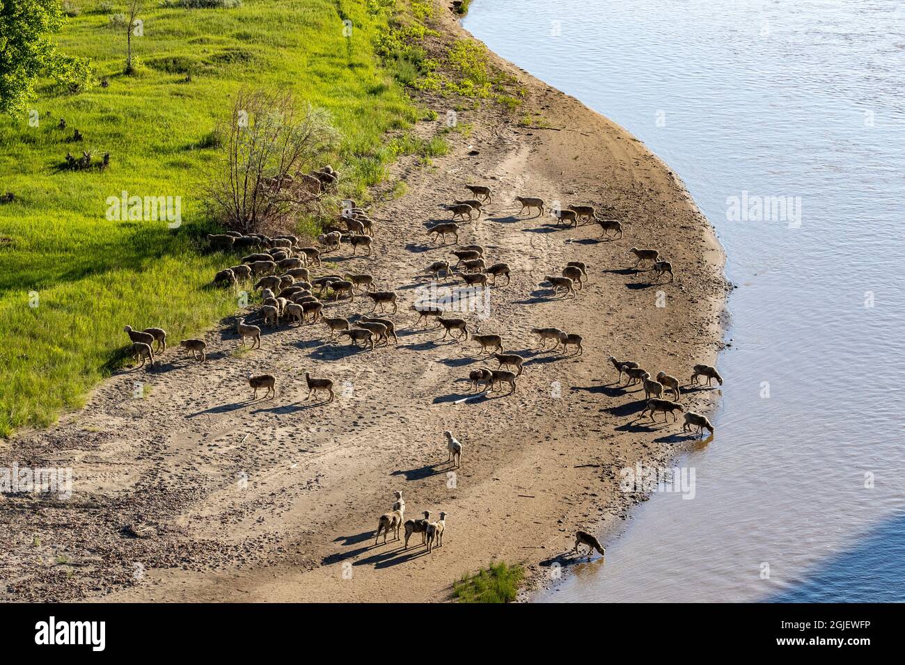 Broadus hi-res stock photography and images - Alamy