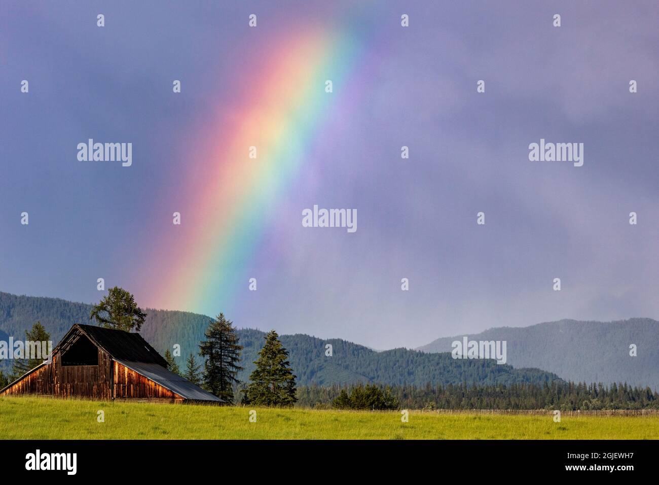 Rustic weathered barn with rainbow in Whitefish, Montana, USA Stock ...