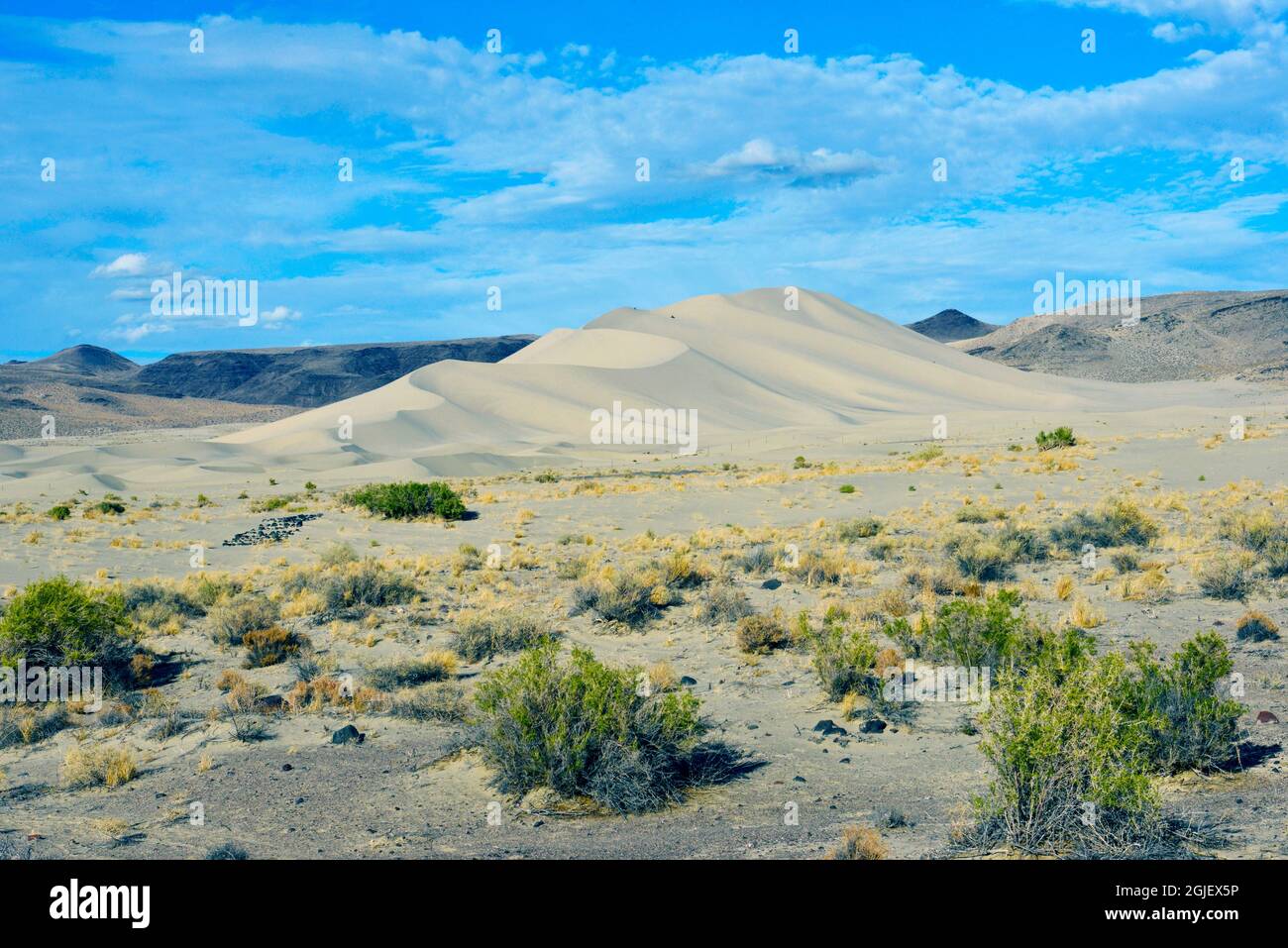 USA, Nevada, Fallon. Sand Mountain Recreation Area and scenic dunes ...