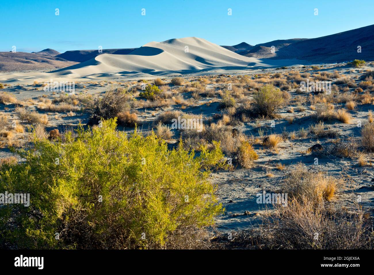USA, Nevada, Fallon. Sand Mountain Recreation Area and scenic dunes ...