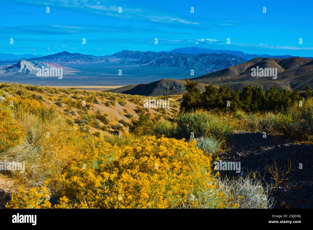 Middlegate nevada hi-res stock photography and images - Alamy