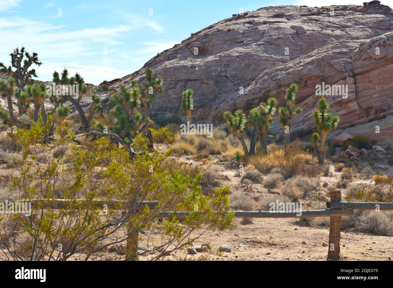 USA, Nevada, Mesquite. Gold Butte National Monument, Falling Man ...