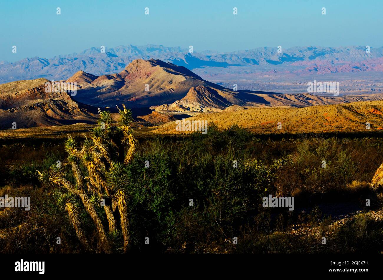 USA, Nevada, Mesquite. Gold Butte National Monument, Jumbo Peak Stock ...