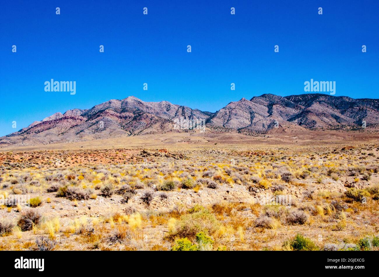 USA, Nevada, Crystal Springs, Basin and Range National Monument Stock ...