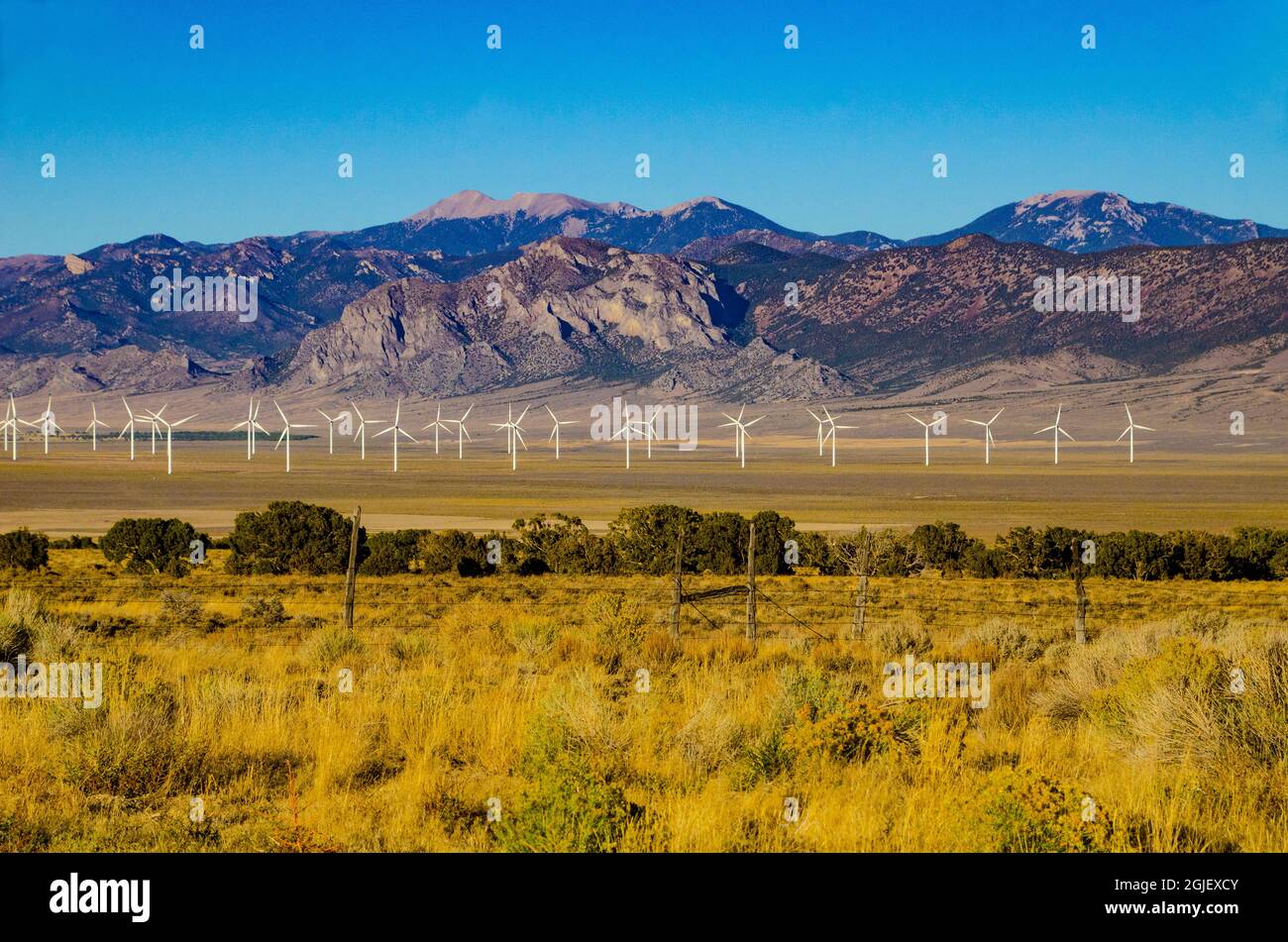 USA, Nevada, Crystal Springs, Basin and Range National Monument, wind ...
