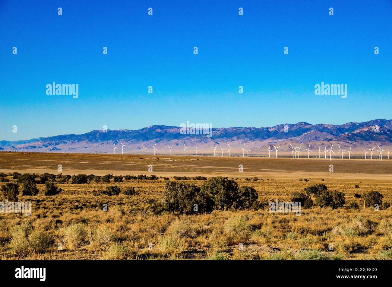 USA, Nevada, Crystal Springs, Basin and Range National Monument, wind ...