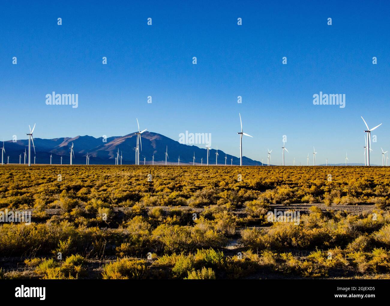 USA, Nevada, Crystal Springs, Basin and Range National Monument, wind ...