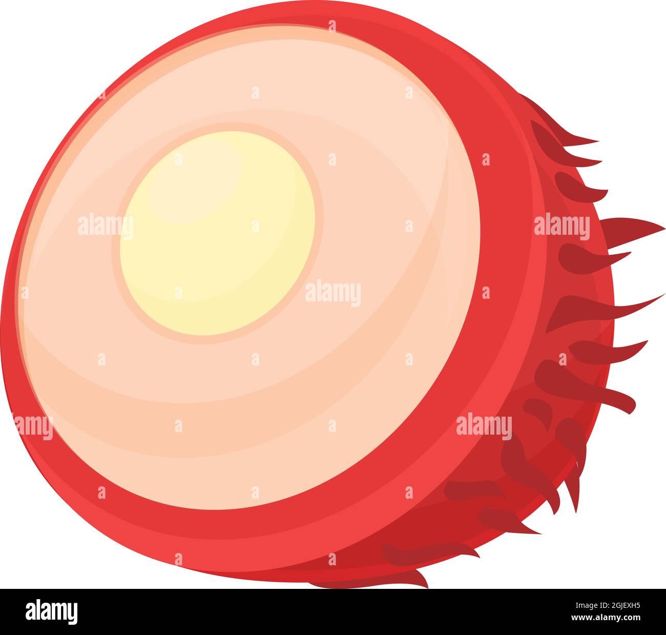Freshness rambutan icon cartoon vector. Tropical fruit. Season rambutan ...