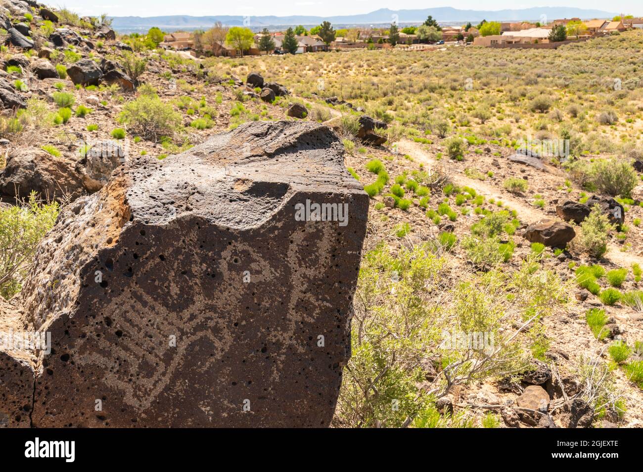 USA, New Mexico, Petroglyph National Monument. Piedras Marcadas Canyon ...