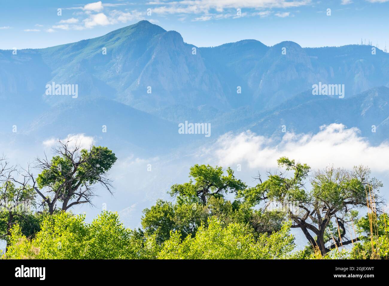 Rio rancho bosque preserve hi-res stock photography and images - Alamy