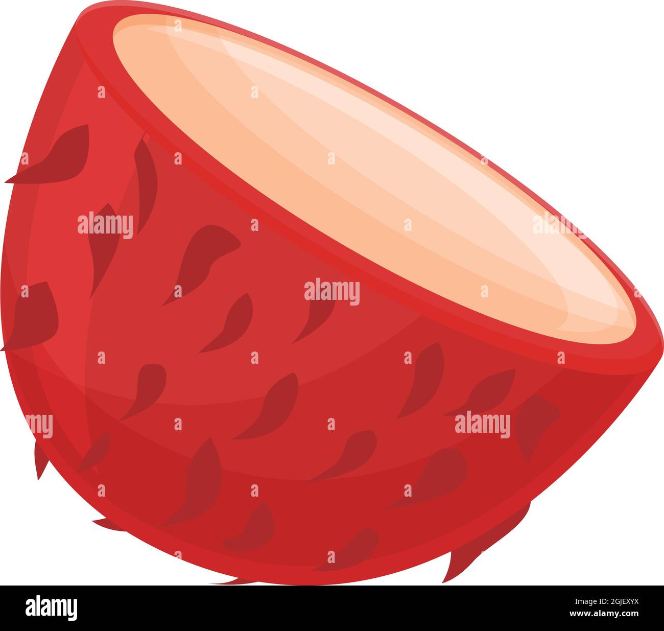 Asia rambutan icon cartoon vector. Tropical fruit. Organic rambutan ...