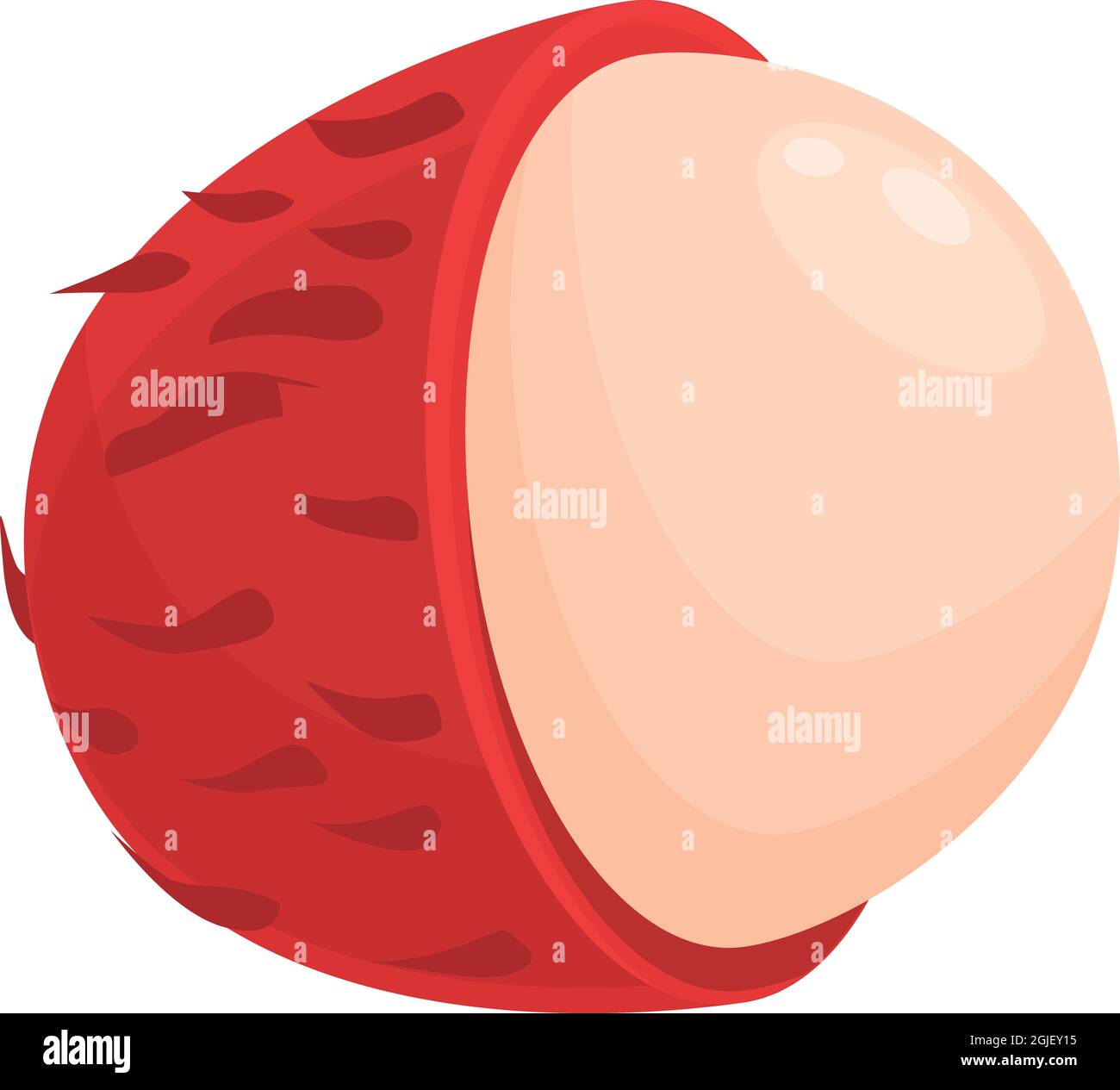 Season rambutan icon cartoon vector. Tropical fruit. Organic rambutan ...