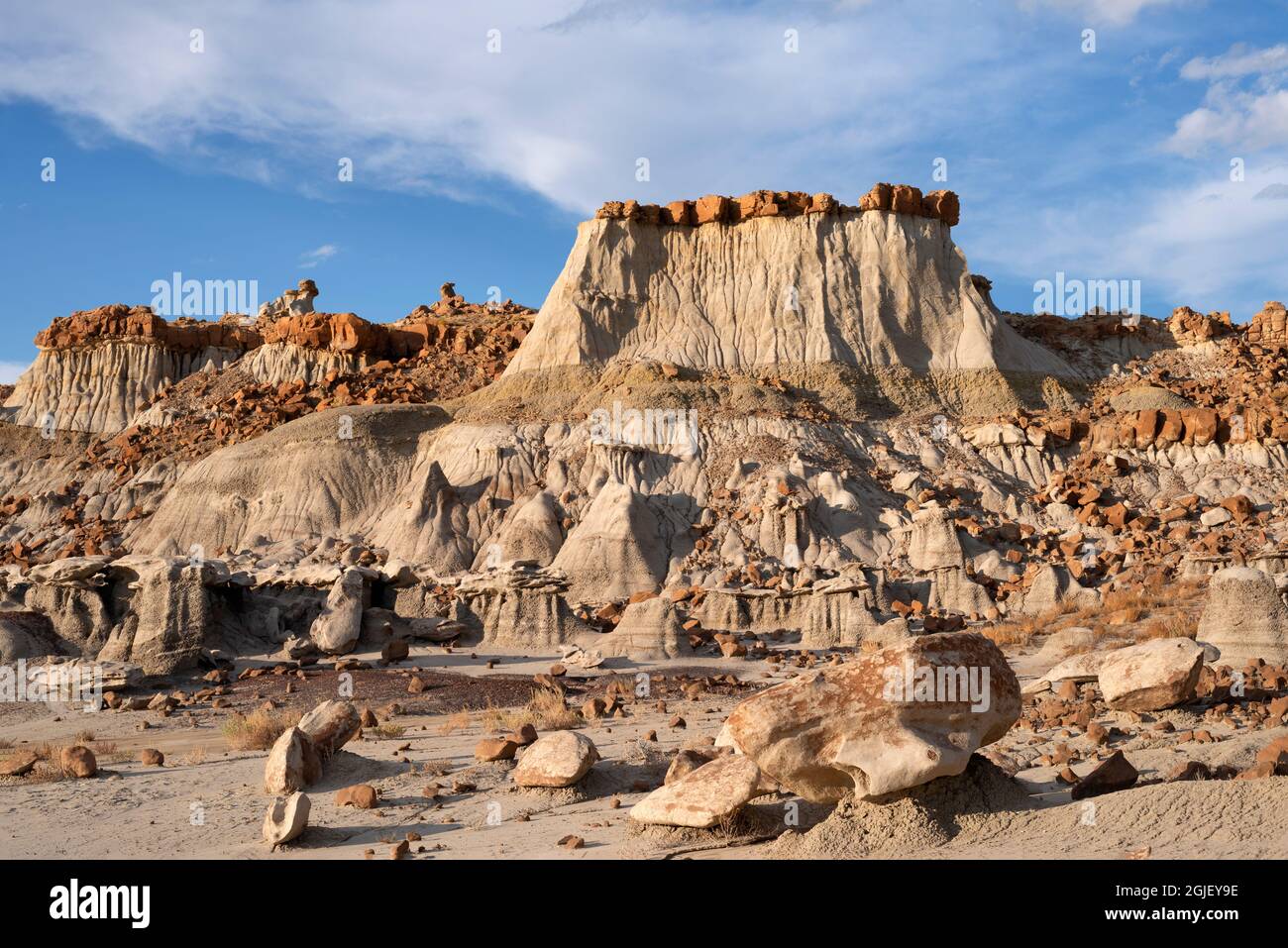 USA, New Mexico. Bisti/De-Na-Zin Wilderness. Soft, layered, sedimentary ...