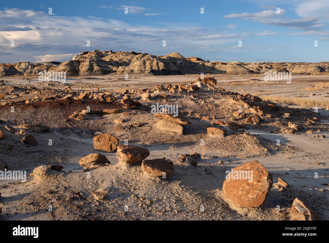 USA, New Mexico. Bisti/De-Na-Zin Wilderness. Darker rocks on soft ...