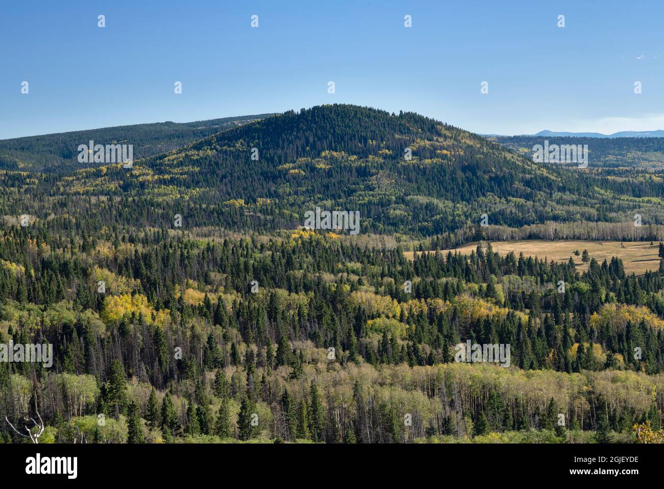 USA, New Mexico. Carson National Forest, Cerro Saragate rises above ...